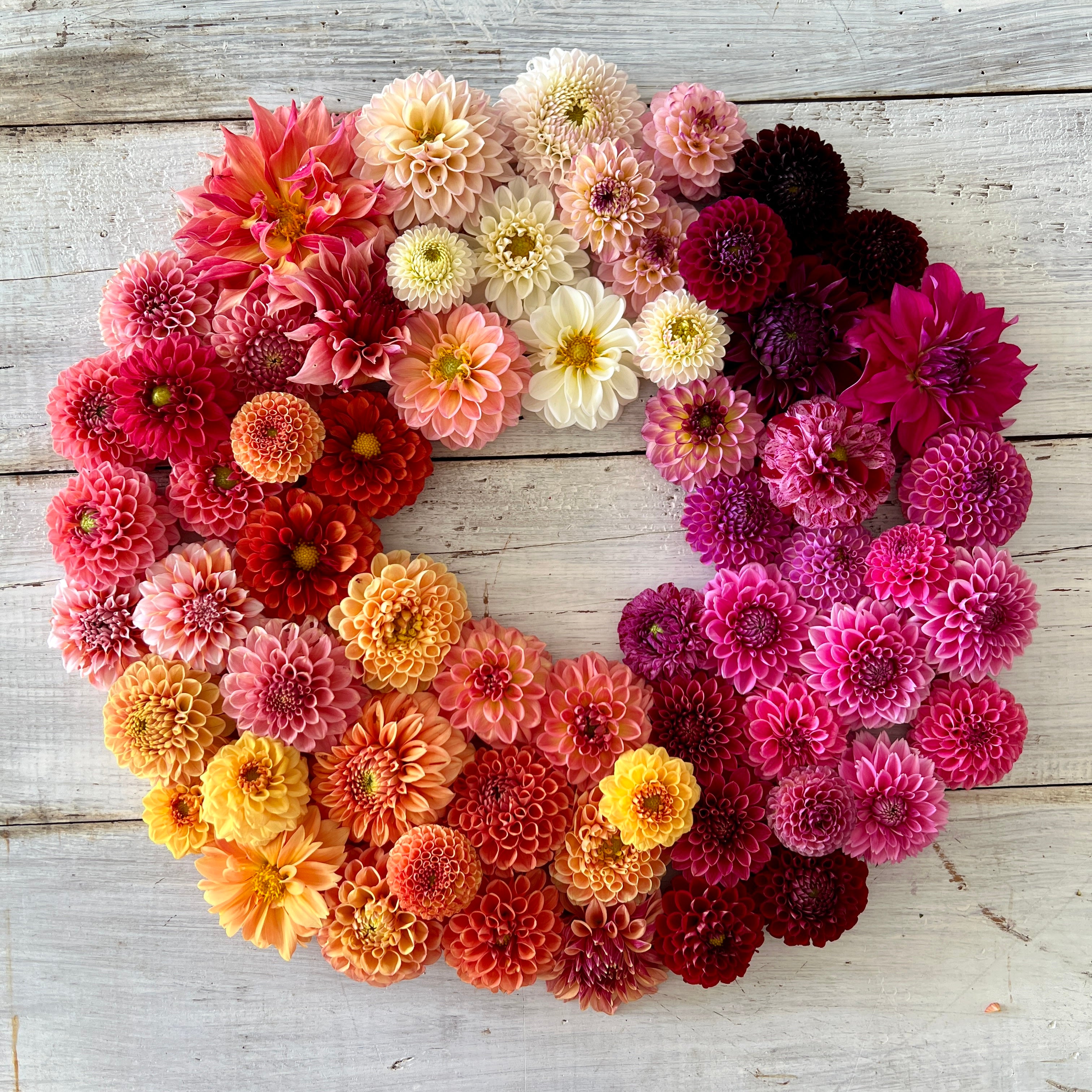 Little House Flower Patch